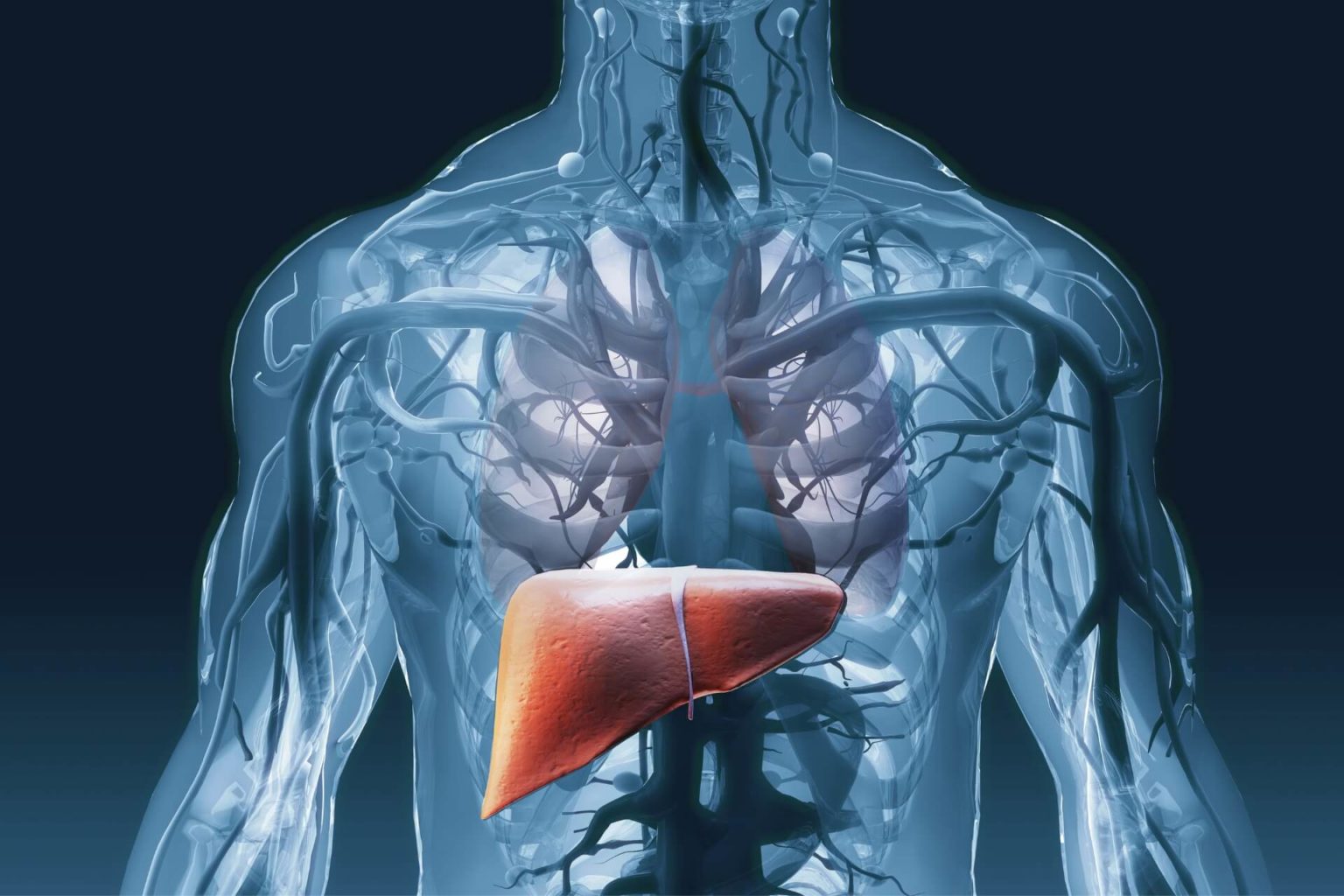 Salumi e colesterolo: quali e quanti mangiarne? | Menatti